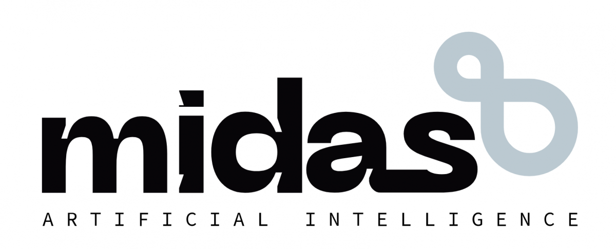 MIDAS Project Keeps Going – Diverso Lab